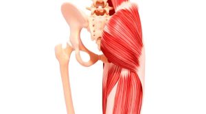Trocanterite: esercizi per stare bene | Fisiosocial